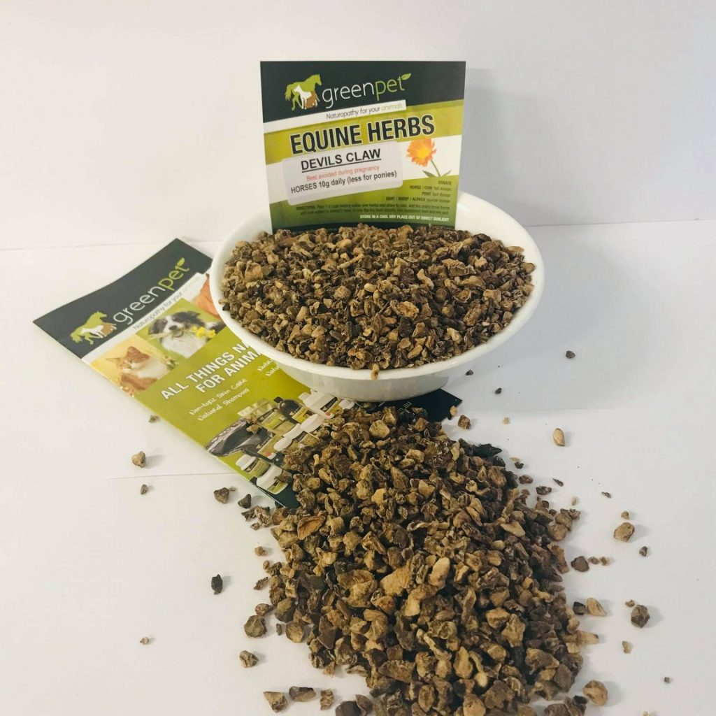 Devils Claw Root (Harpagophytum Procumbens) - Greenpet