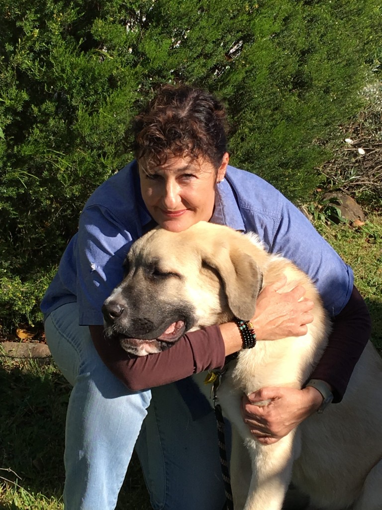 Animal Communication With Caroline Pope - Greenpet