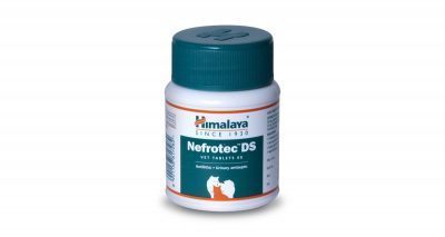 Nefrotec DS - Himalaya Pets - Greenpet