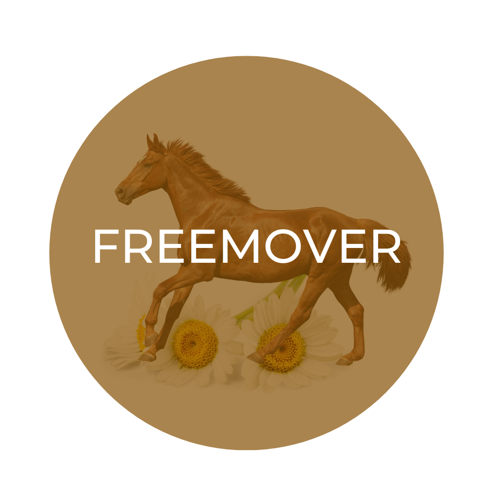 Herbal Equine Free Mover Support