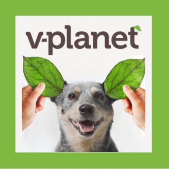 V-Planet Vegan Kibble is 100% plant-based Greenpet