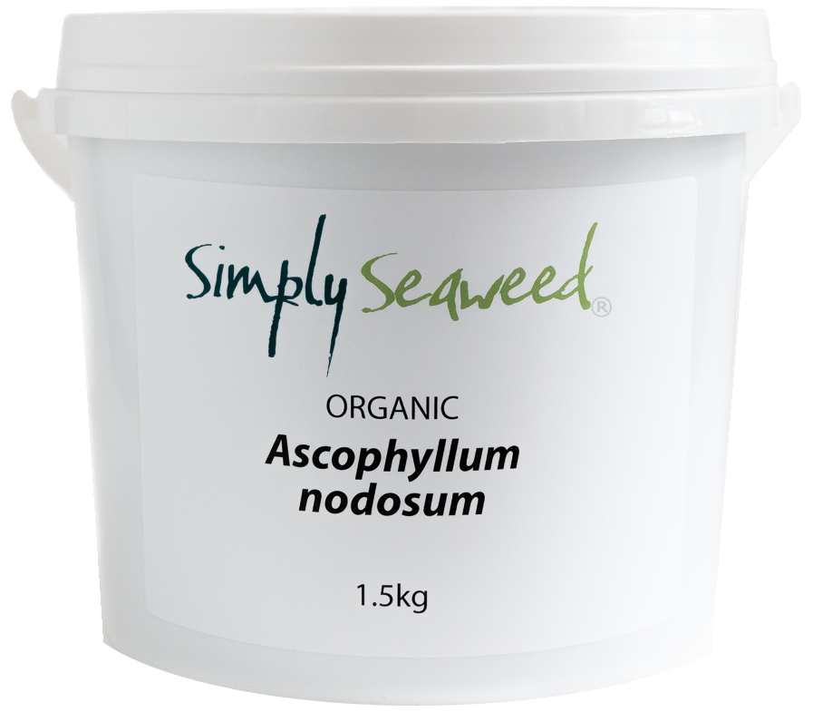 Simply Seaweed Dental Powder - Greenpet