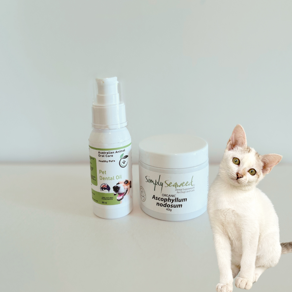 Healthy Teeth Bundle - Greenpet