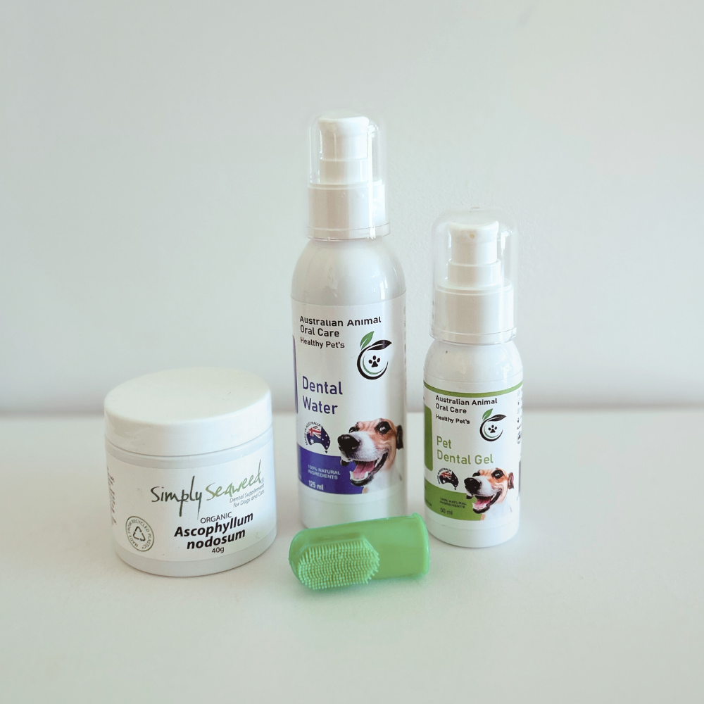 Healthy Teeth Bundle - Greenpet