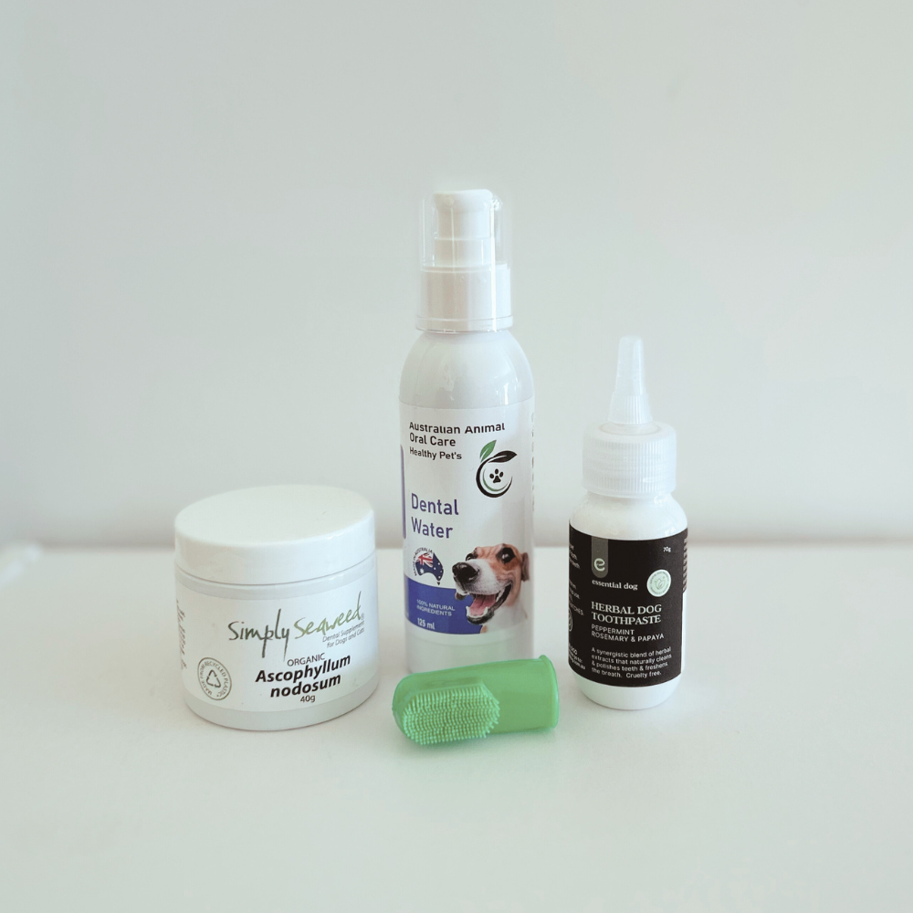 Healthy Teeth Bundle - Greenpet