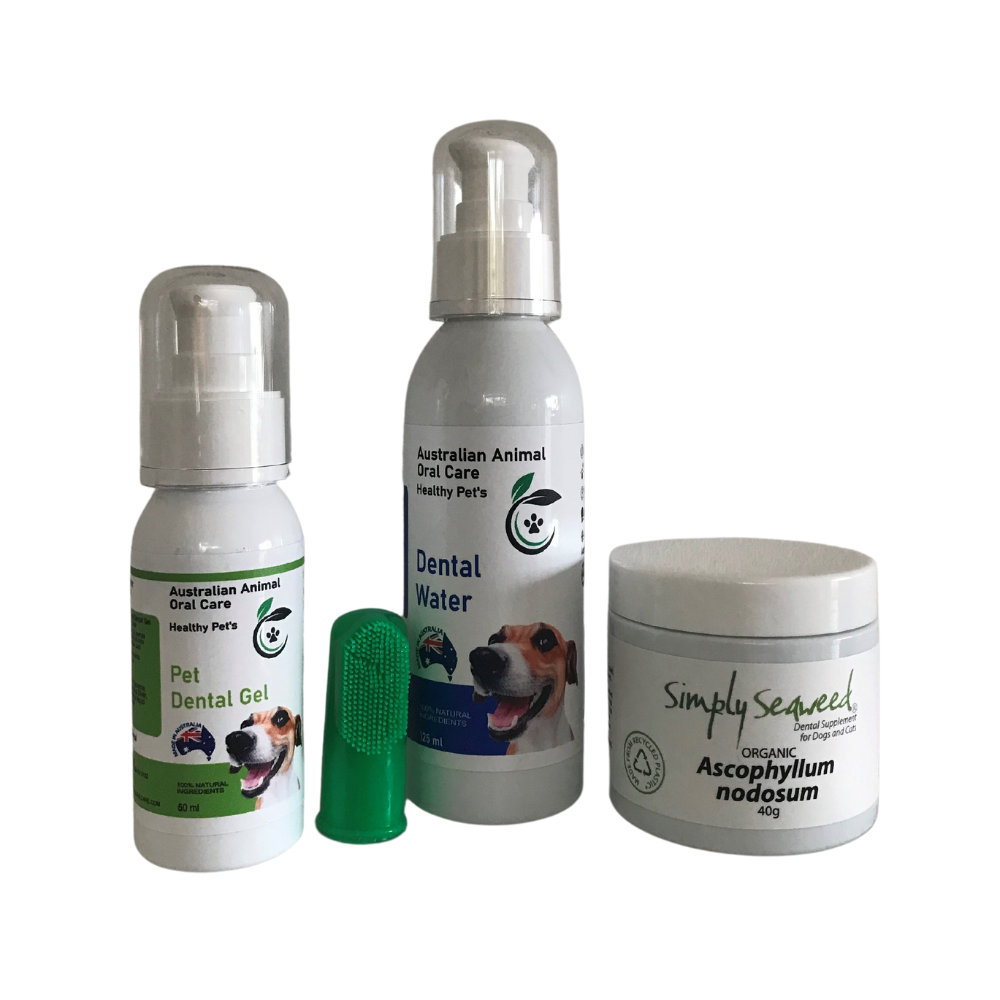 Healthy Teeth Bundle - Greenpet