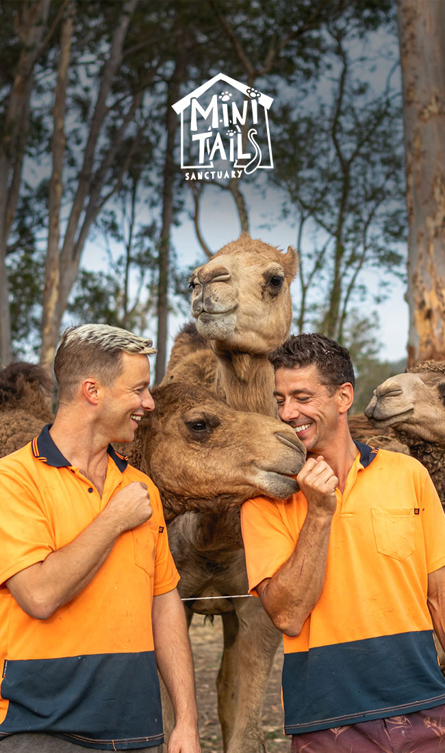 Mini-Tails-Sanctuary - Greenpet