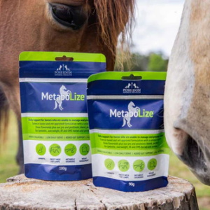 MetaboLize - Greenpet