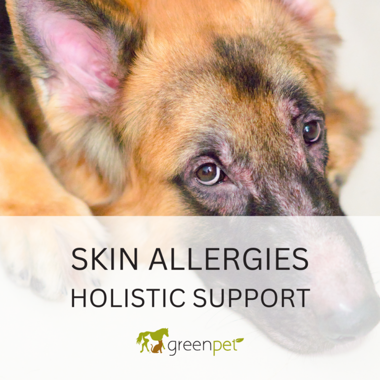 Canine Skin Allergies Holistic Support Guide - Greenpet