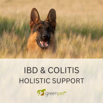 Canine Health Guides Archives - Greenpet