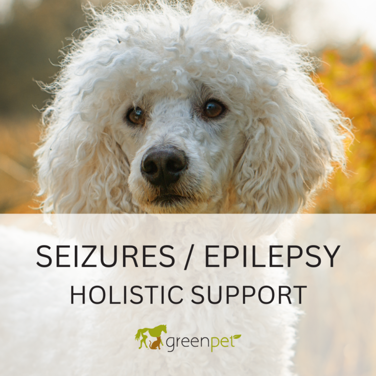 Canine Seizures / Epilepsy Holistic Support Guide - Greenpet