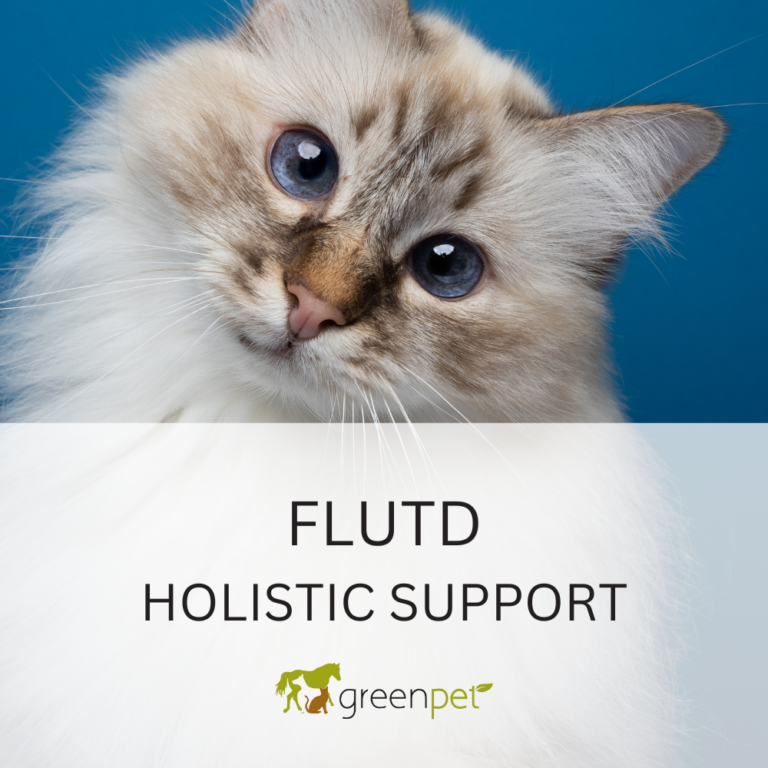 Feline FLUTD Holistic Support Guide - Greenpet