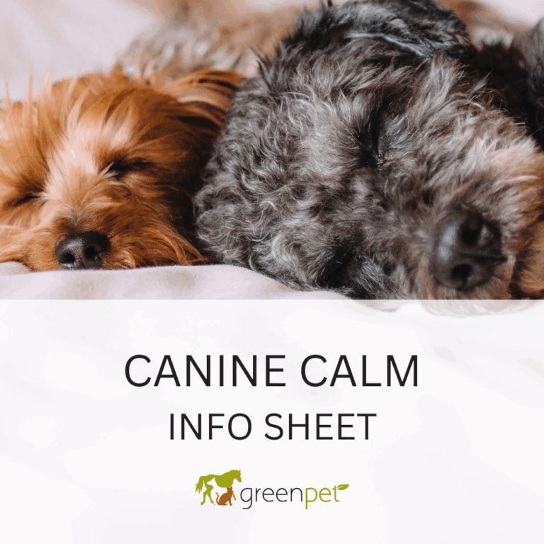 Canine Calm Info Sheet - Greenpet