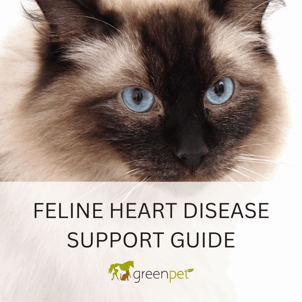 Feline Heart Disease Holistic Support Guide - Greenpet
