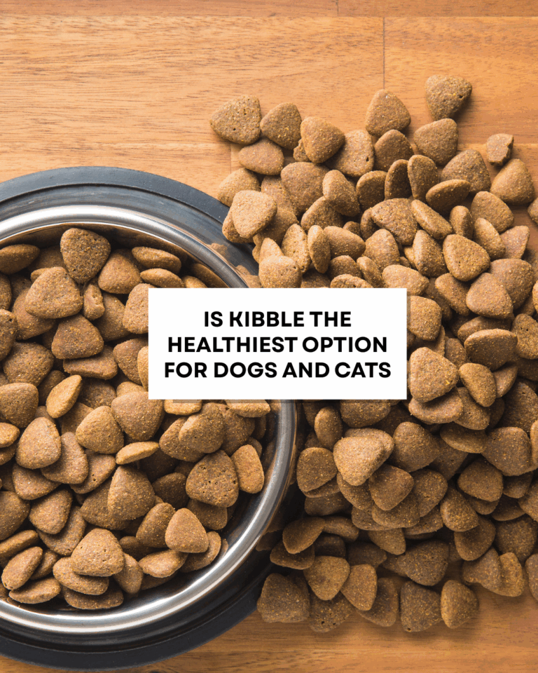 Kibble Blog - Greenpet