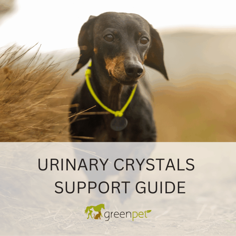 Canine Urinary Crystals Holistic Support Guide - Greenpet